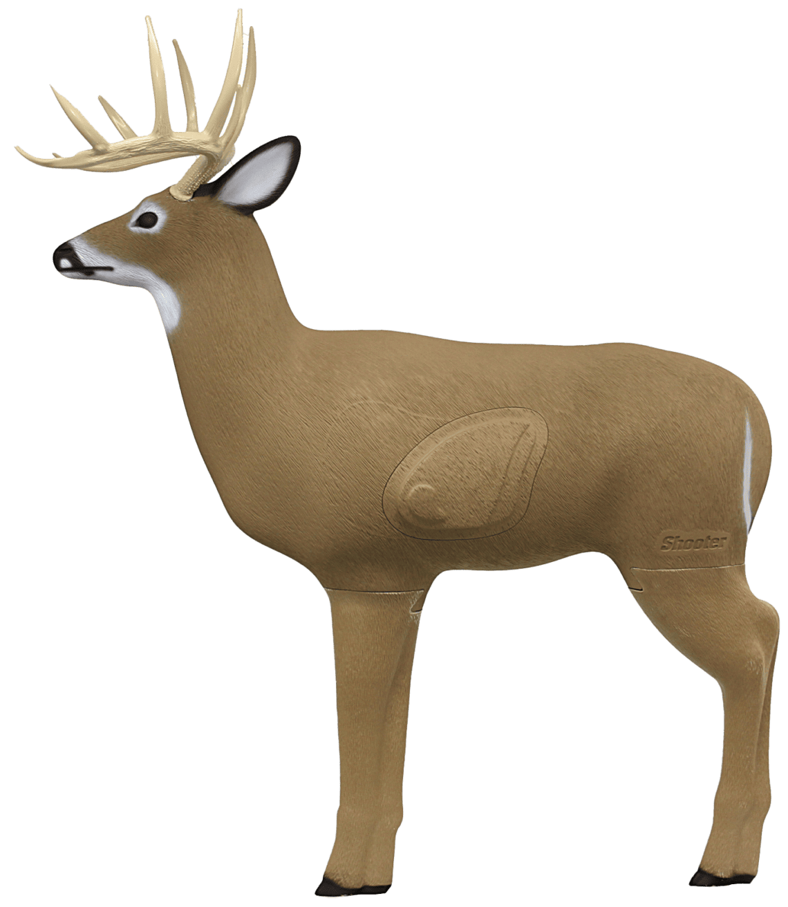 Lifelike 3D Targets for Compound Bow Training