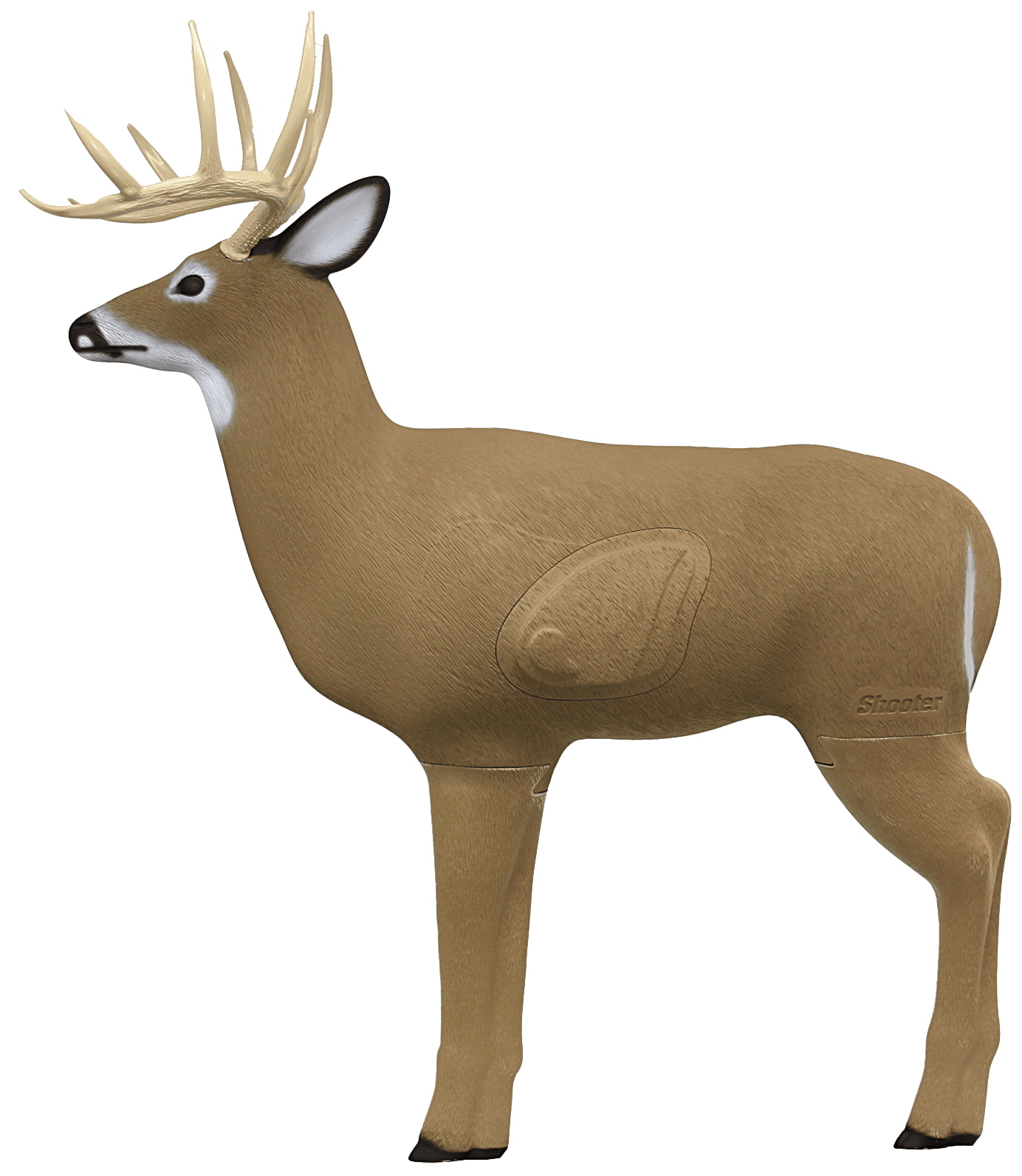 Lifelike 3D Targets for Compound Bow Training